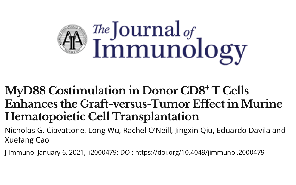 MyD88 Costimulation in Donor CD8+ T Cells Enhances the Graft-versus-Tu ...