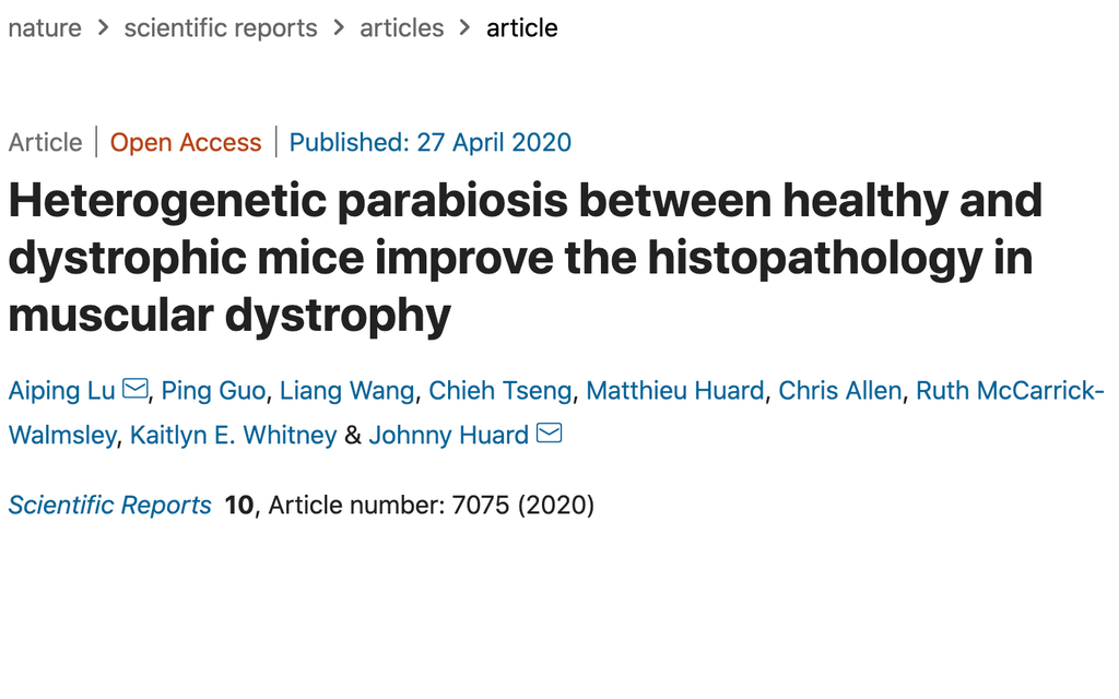 Heterogenetic parabiosis between healthy and dystrophic mice improve t ...