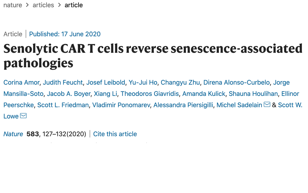 Senolytic CAR T cells reverse senescence-associated pathologies | Cytek ...