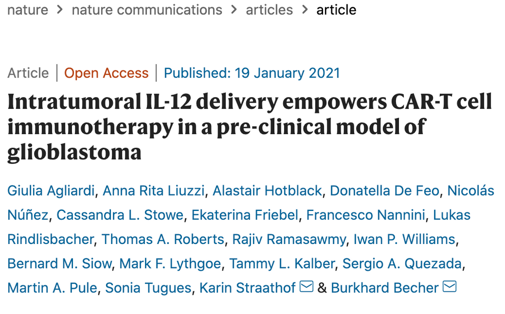 Intratumoral IL-12 delivery empowers CAR-T cell immunotherapy in a pre ...