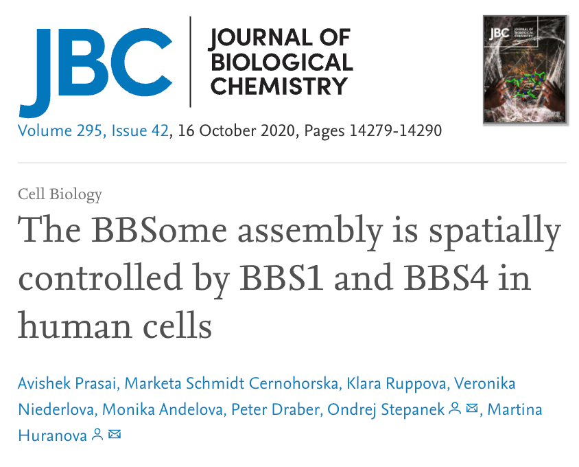 The BBSome assembly is spatially controlled by BBS1 and BBS4 in human ...