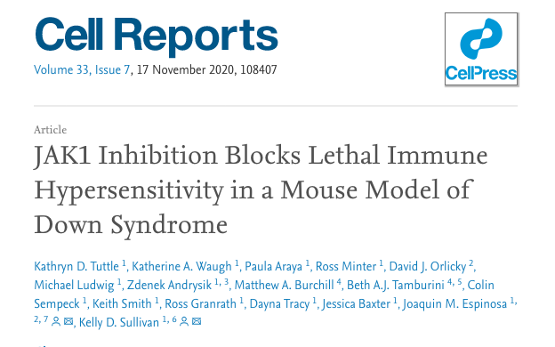 JAK1 Inhibition Blocks Lethal Immune Hypersensitivity in a Mouse Model | Cytek Biosciences