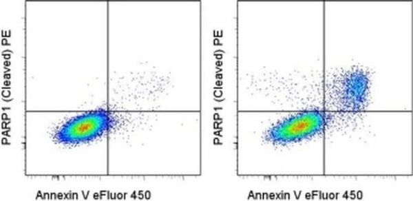 PARP1 (cleaved Asp214) Monoclonal Antibody (HLNC4), PE, eBioscience ...