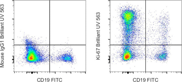 Ki-67 Monoclonal Antibody (20Raj1), Brilliant Ultra Violet™ 563 | Cytek ...