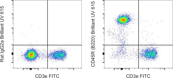 CD45R (B220) Monoclonal Antibody (RA3-6B2), Brilliant Ultra Violet 615 ...