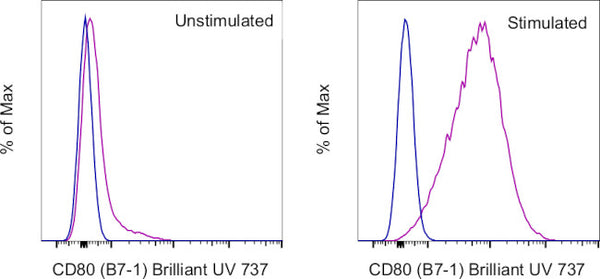CD80 (B7-1) Monoclonal Antibody (16-10A1), Brilliant Ultra Violet™ 737 ...