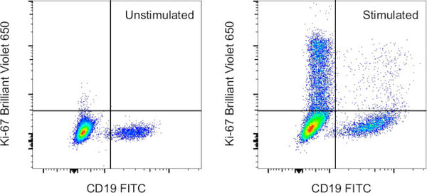 Ki-67 Monoclonal Antibody (20Raj1), Brilliant Violet™ 650 | Cytek ...