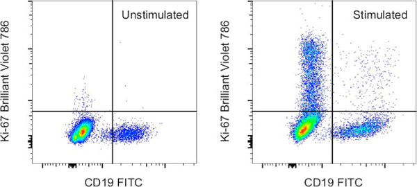 Ki-67 Monoclonal Antibody (20Raj1), Brilliant Violet™ 786 | Cytek ...