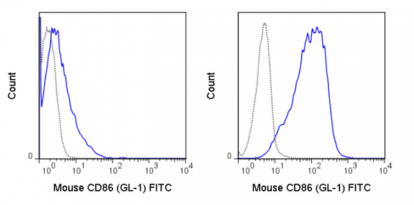 FITC Anti-Mouse CD86 (B7-2) (GL-1) | Cytek Biosciences