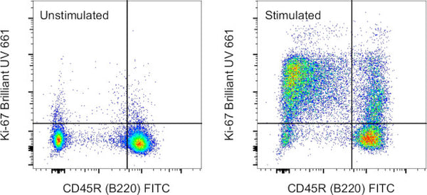 Ki-67 Monoclonal Antibody (SolA15), Brilliant Ultra Violet™ 661, eBios ...