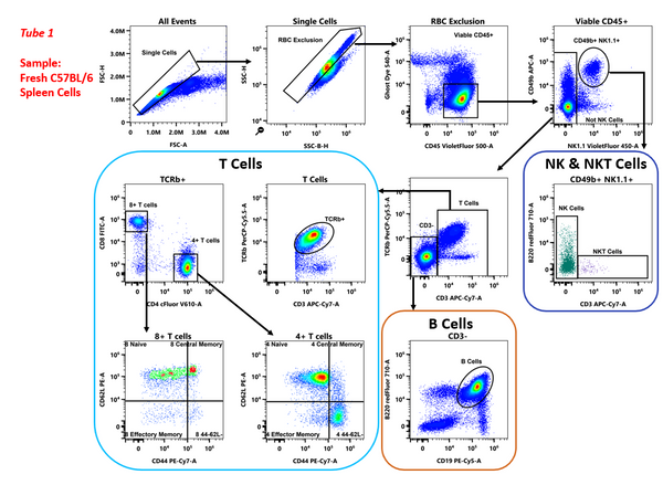 Cytek® Tonbo™ Mouse TBNK/Myeloid/Treg Kit | Cytek Biosciences