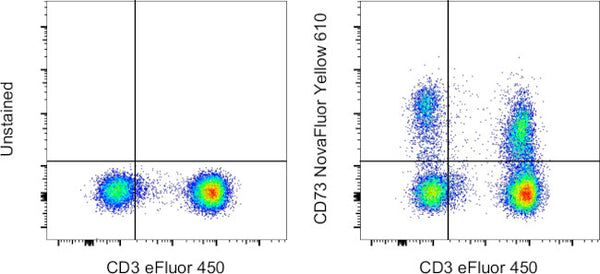 CD73 Monoclonal Antibody (AD2), NovaFluor™ Yellow 610 | Cytek Biosciences