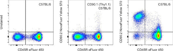CD90.2 (Thy-1.2) Monoclonal Antibody (53-2.1), NovaFluor™ Yellow 570 ...
